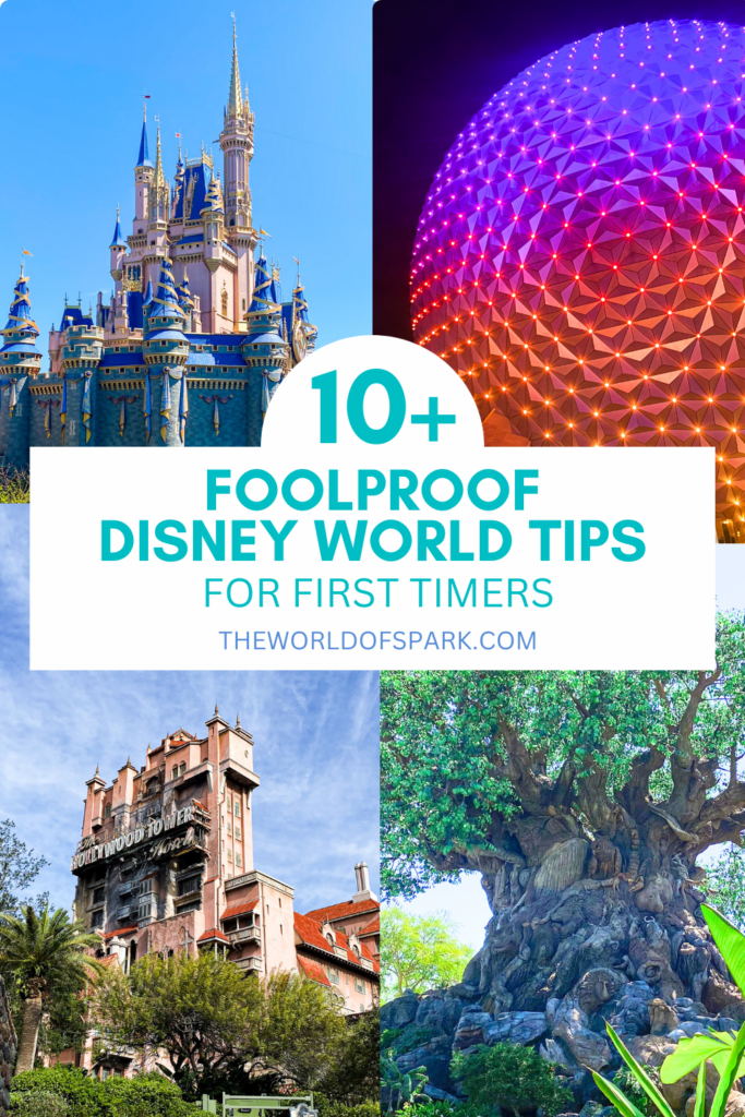 Foolproof Disney World Tips For First-Timers - The World of Spark