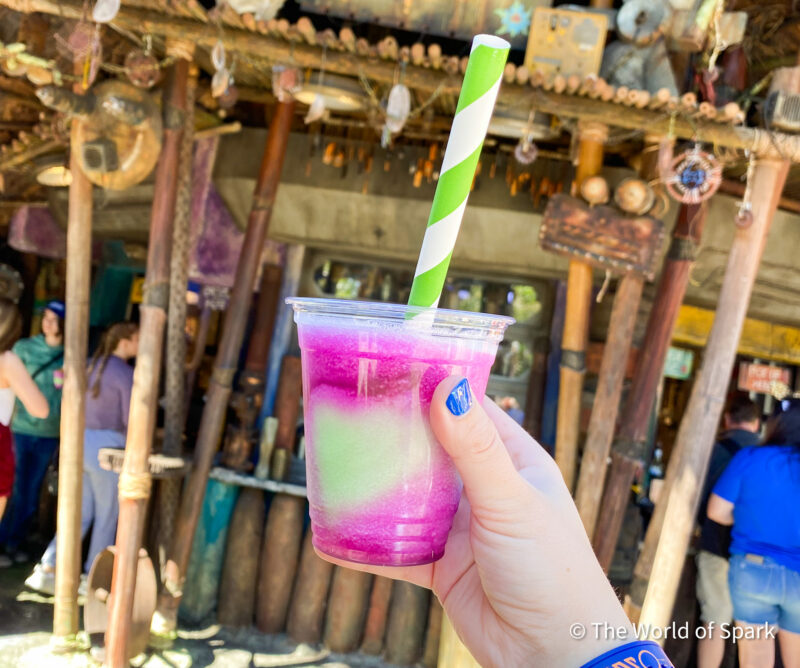 Packing For Disney World: Unique Items You Probably Aren’t Thinking ...
