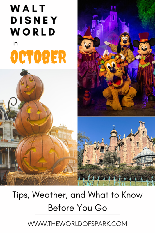 Disney World in October - The World of Spark