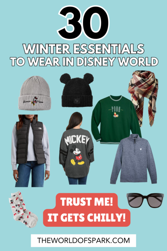 Walt Disney World in Winter: What to Wear - The World of Spark