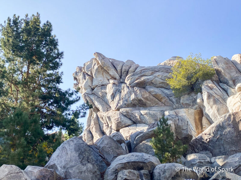 Disney California Adventure Food and Wine Festival: An Ultimate Guide ...