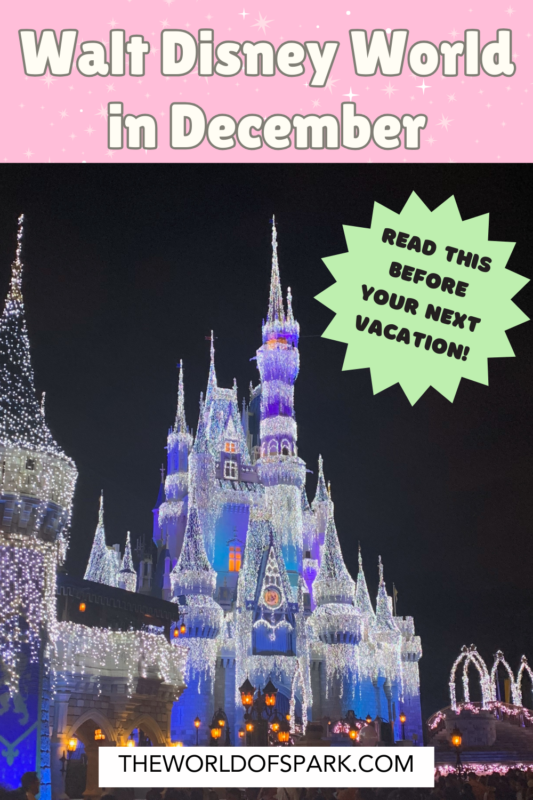 Walt Disney World in December - The World of Spark