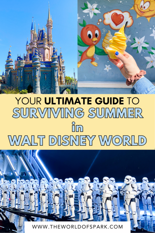 How to Deal With Summer Weather in Disney World - The World of Spark
