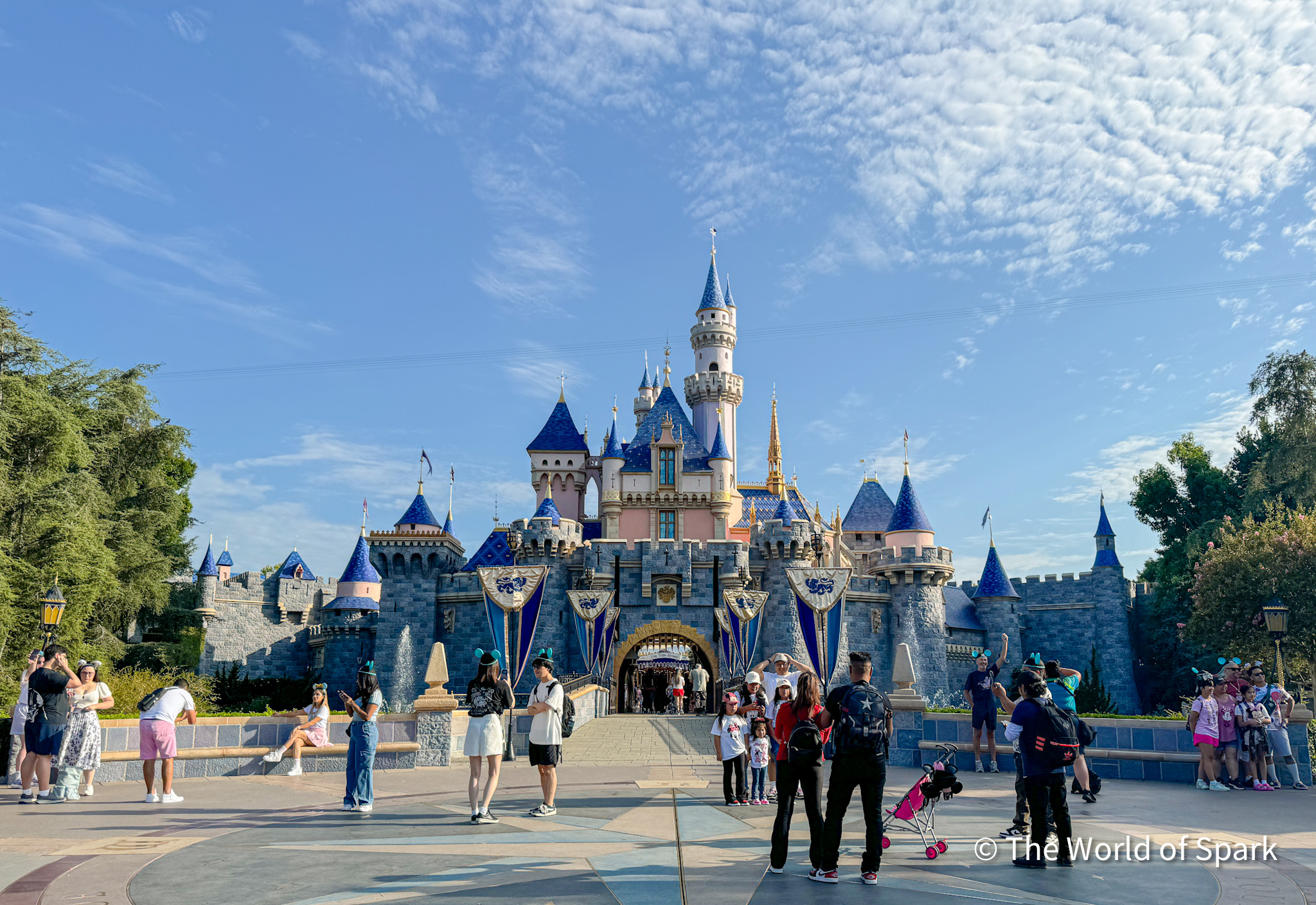 Theme Park News: Disney World and Disneyland Look Ahead to 2026 - The ...