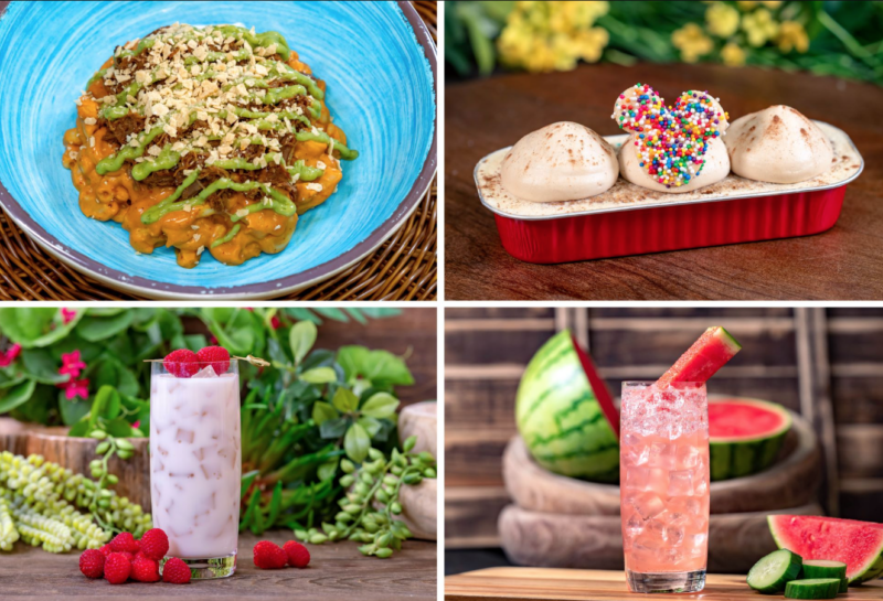 Disney California Adventure Food and Wine Festival: An Ultimate Guide ...